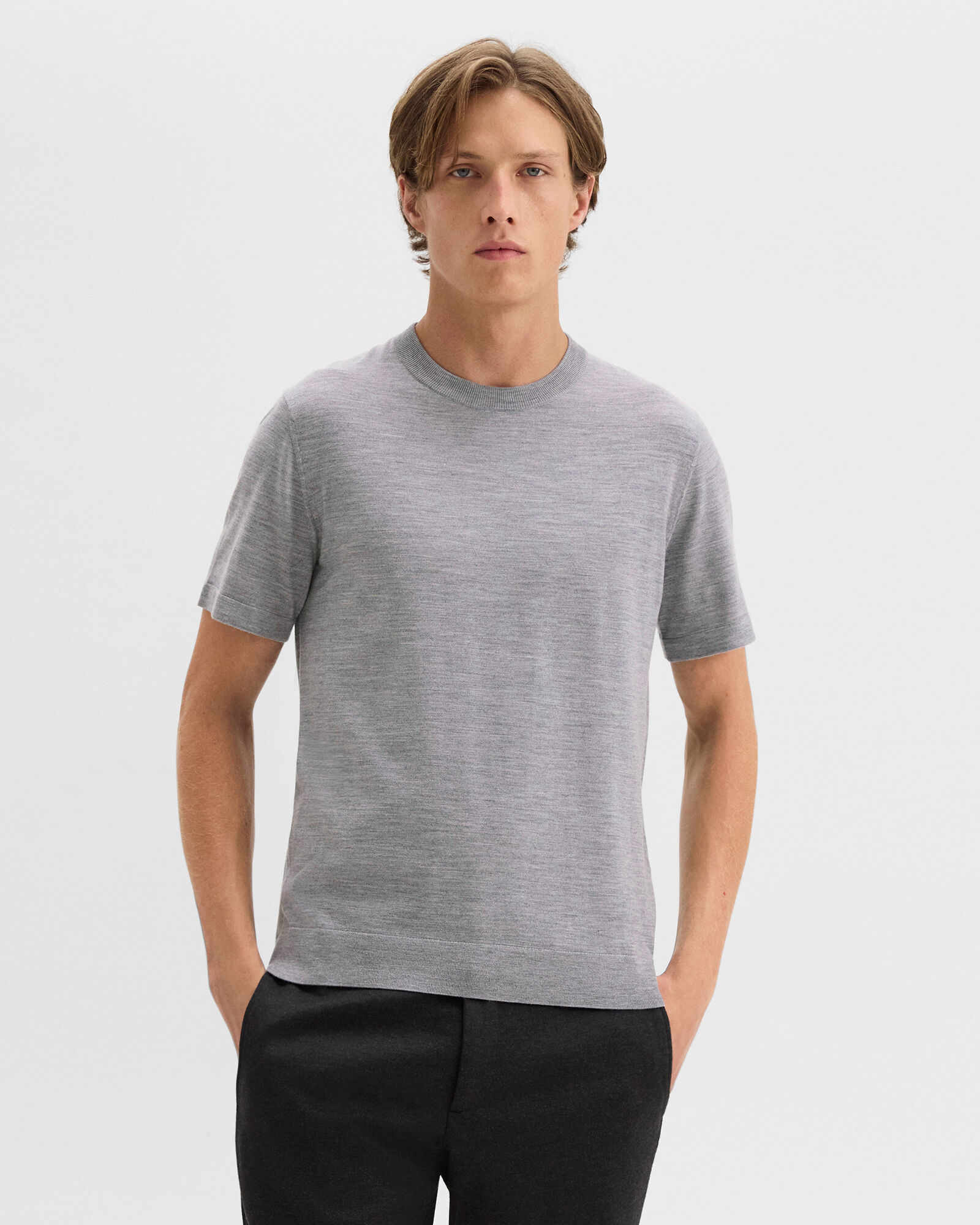 Regal Wool Goris Tee RW | MEN | Theory [セオリー] 公式通販サイト