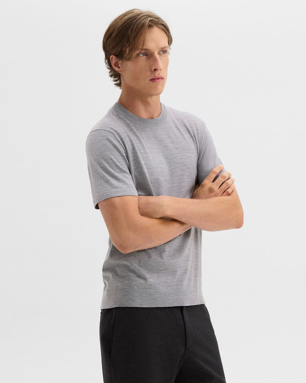 Regal Wool Goris Tee RW | MEN | Theory [セオリー] 公式通販サイト