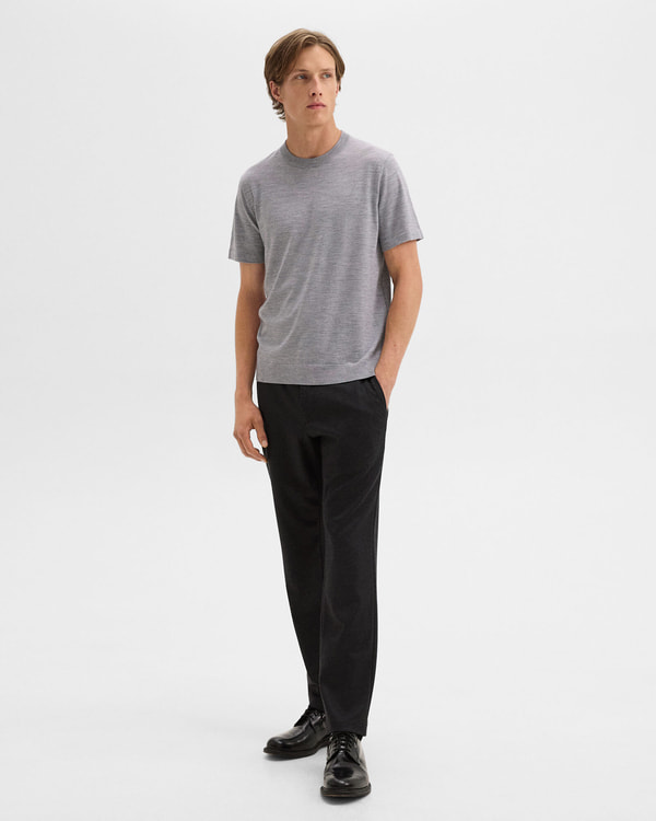 Regal Wool Goris Tee RW | MEN | Theory [セオリー] 公式通販サイト