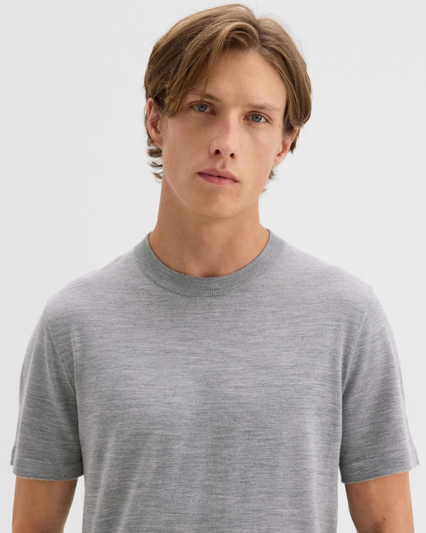 Regal Wool Goris Tee RW | MEN | Theory [セオリー] 公式通販サイト